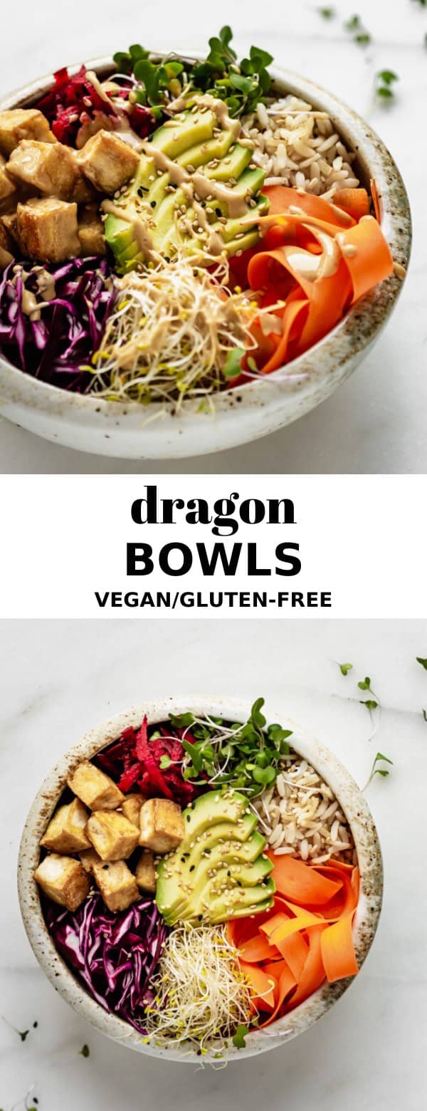 Dragon Bowls - Choosing Chia