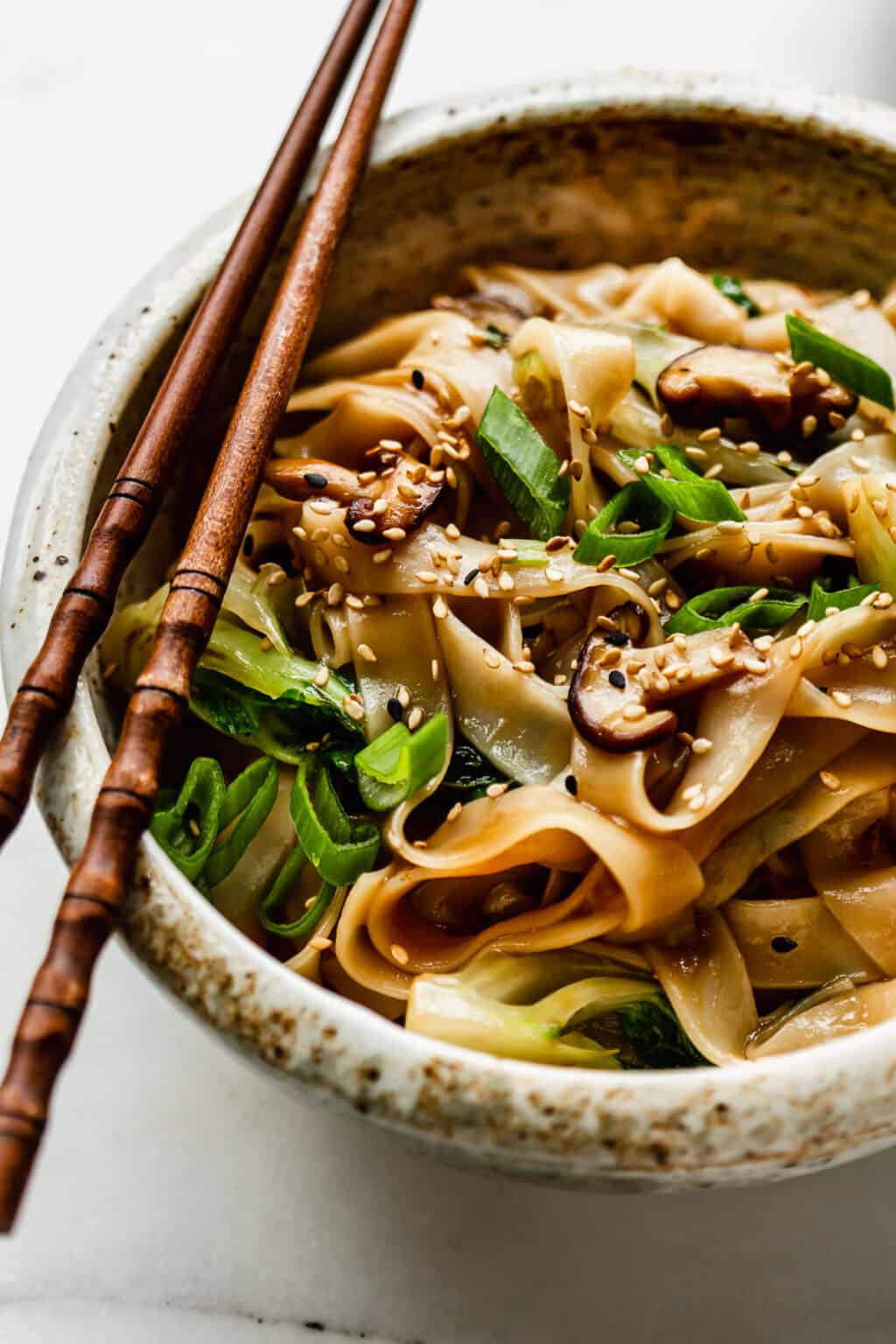 Ho Fun Noodles - Choosing Chia